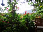 Alis Garten Cafe (Antalya, Kemer, Göynük Kanyonu Yolu, 20), kafe  Kemer'den