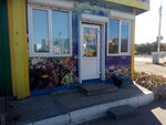 Fish company Delfin (улица Калинина No:141/2), balık ve deniz ürünleri  Blagoveshchensk'ten