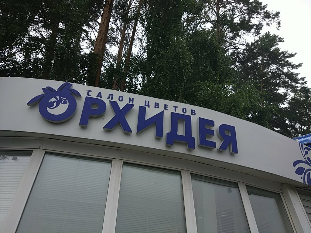 Çiçekçiler Salon tsvetov Orkhideya, Zheleznogorsk, foto