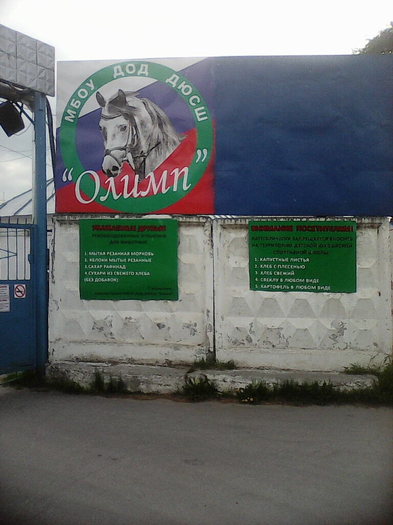 At ve binicilik kulüpleri Olimp, Nijni Novgorod, foto