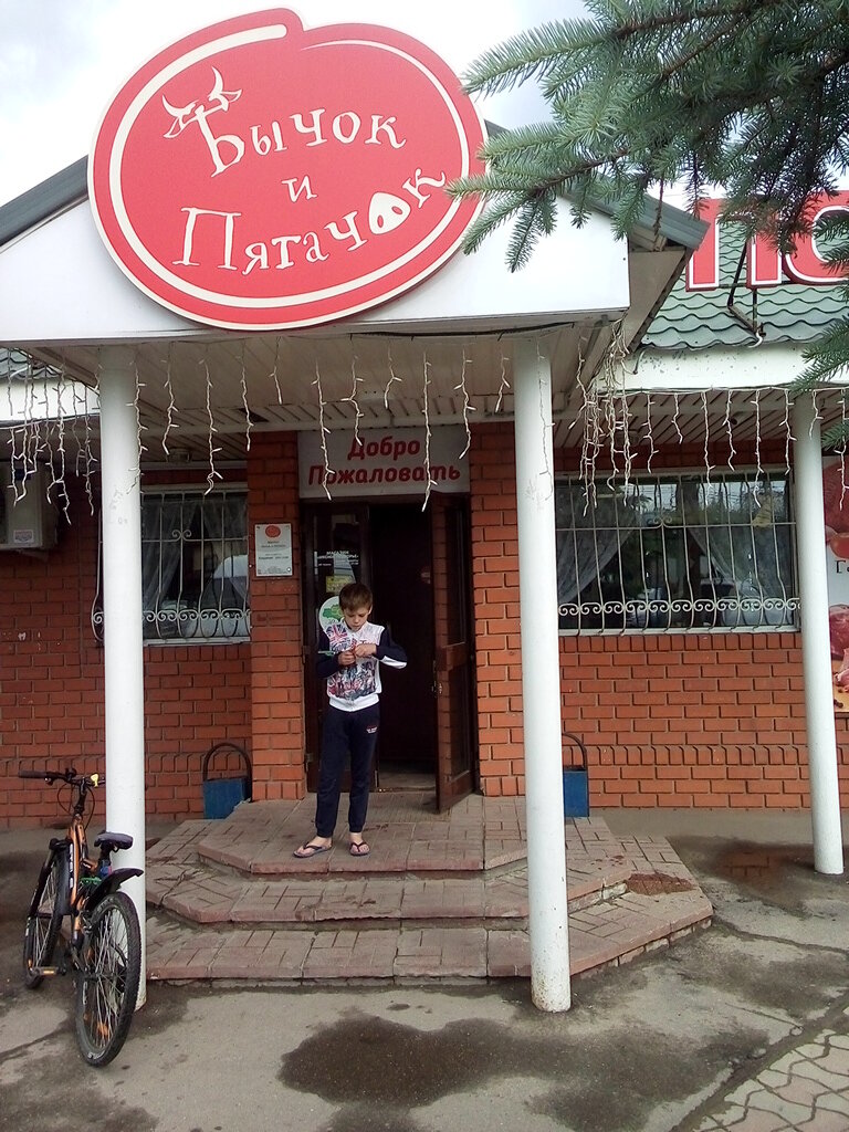 Ödeme terminali Bychok i Pyatachok, Vidnoye, foto