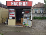 Насіння (Tsentralna vulytsia No:2), tohum satan yerler  Podgorodnoe'den
