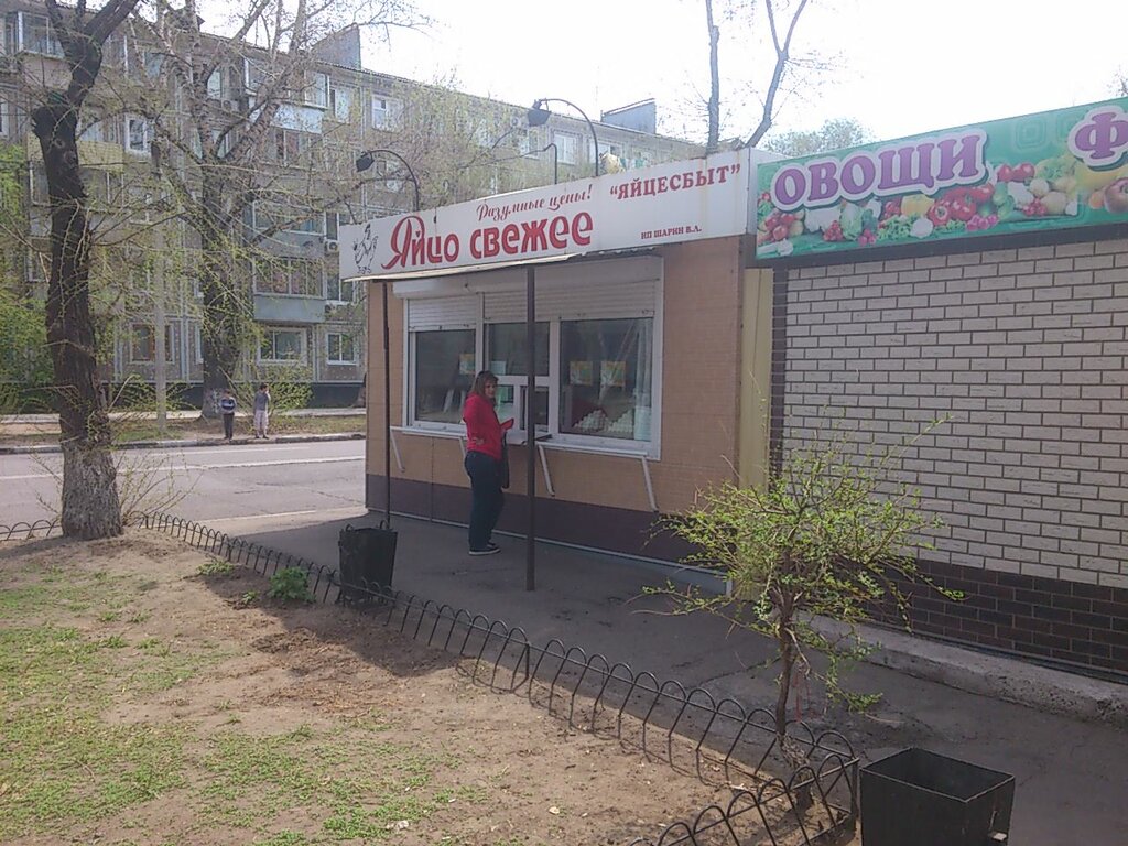 Kanatlı hayvan ürünleri ve yumurta Yaytso svezheye, Blagoveshchensk, foto