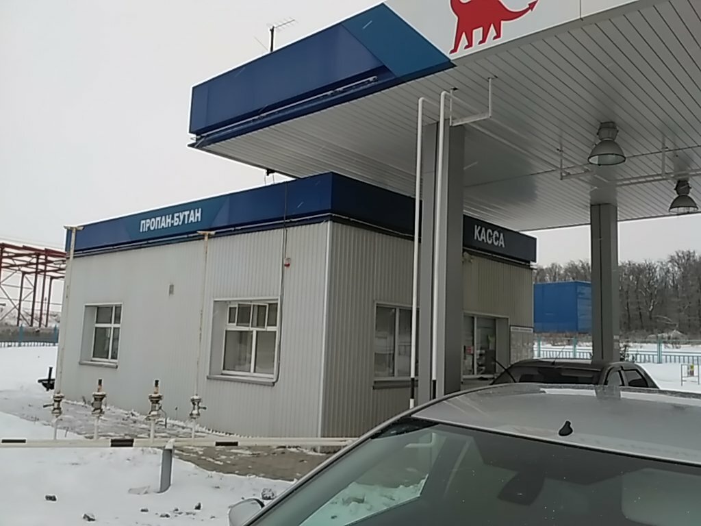 Otogaz dolum istasyonu СГ-Трейдинг, Voronejskaya oblastı, foto
