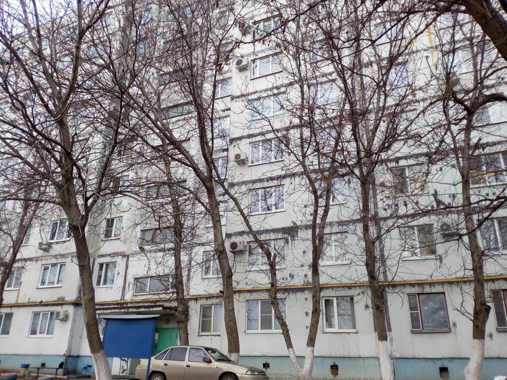 Bina, site yönetimi TSZh Novaya Sadovaya, Taganrog, foto