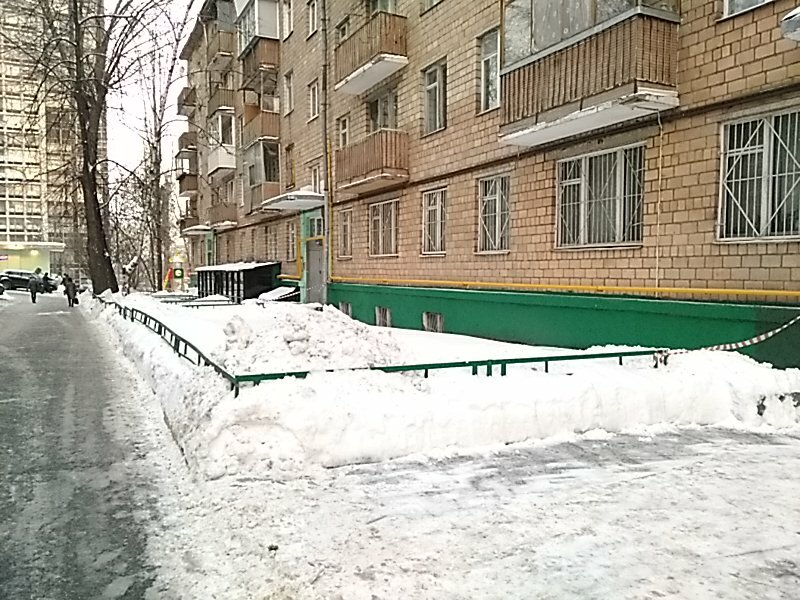 Çiçekçiler Sittsevy sad, Moskova, foto