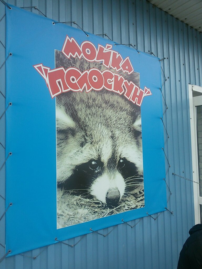 Oto yıkama Kivin 333, Novosibirsk, foto
