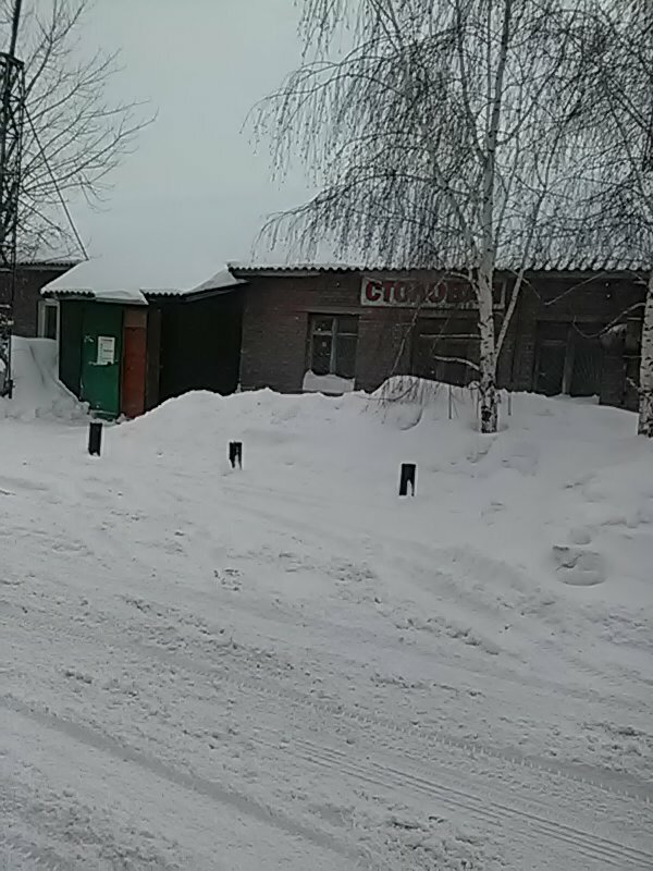 Hazır yemek teslim servisleri Domashny povar, Berdsk, foto