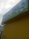 Molochny magazin (Kommunalnaya Street No:57Ак6), süt ürünleri satış mağazaları  Pskov'dan