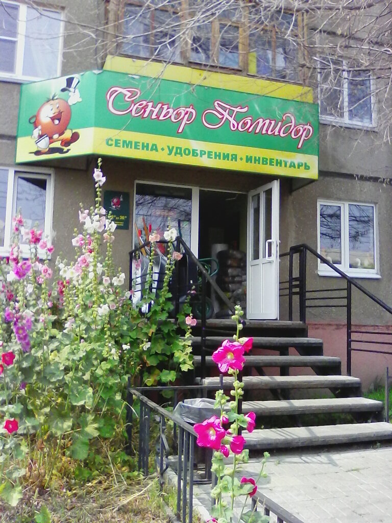 Tohum satan yerler Сеньор Помидор, Magnitogorsk, foto