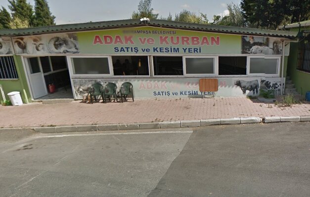 Hayvancılık Bereket Hayvancılık, İstanbul, foto