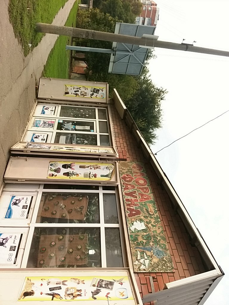 Petshop Flora-Fauna, Krasnodar, foto