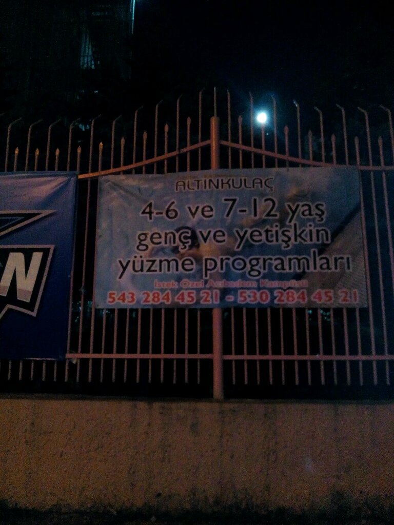 Yüzme havuzları Altın Kulaç Yüzme, İstanbul, foto