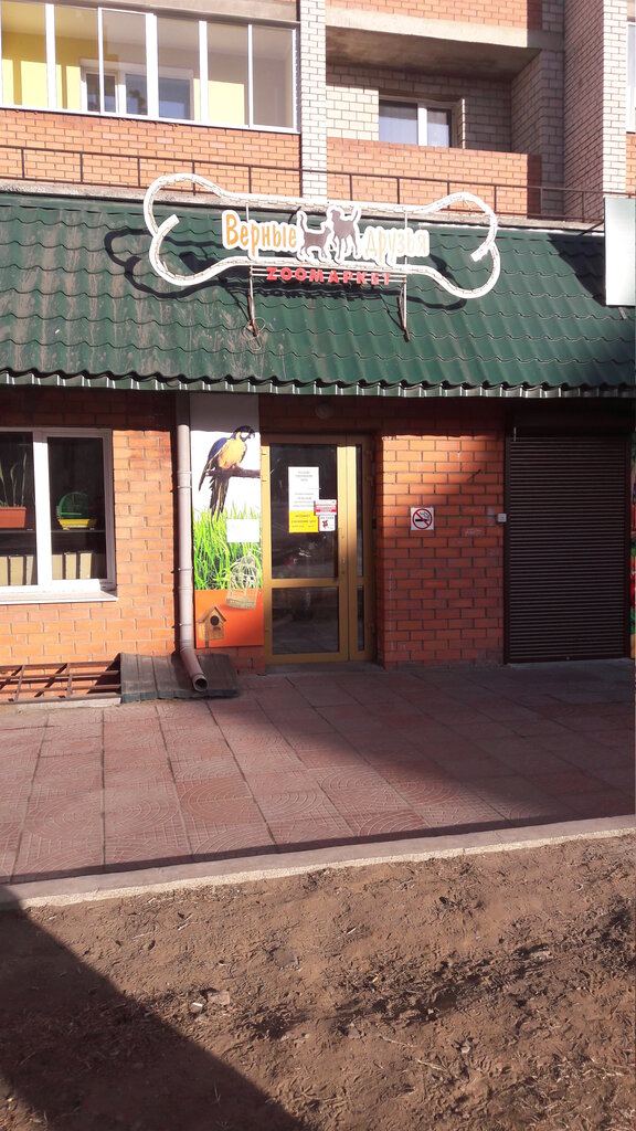 Petshop Vernyye druzya, Çita, foto