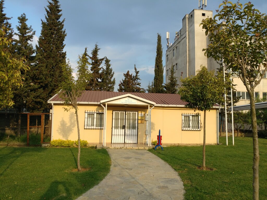 Dernekler, birlikler Dragos Musiki Derneği, İstanbul, foto