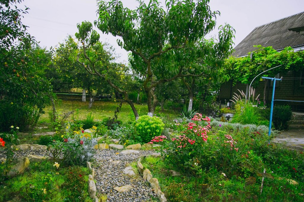 Otel Tsvietushchii sad, Krasnodarski krayı, foto