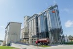 Avis-Ukraina (Полевая улица No:1, село Косовщина), kanatlı hayvan ürünleri ve yumurta  Sumi Bölgesi'nden
