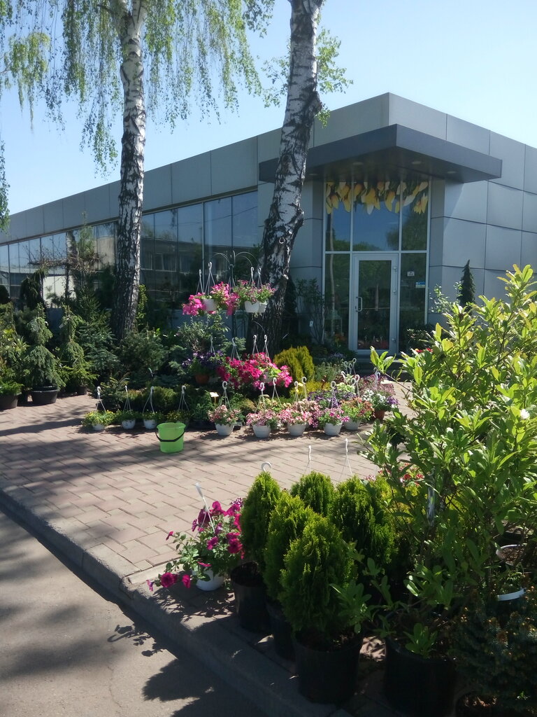 Çiçekçiler Tsvetochny stil, Harkiv, foto