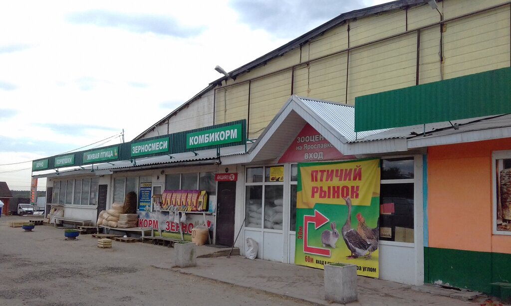 Petshop Птичий дворик, Puşkino, foto