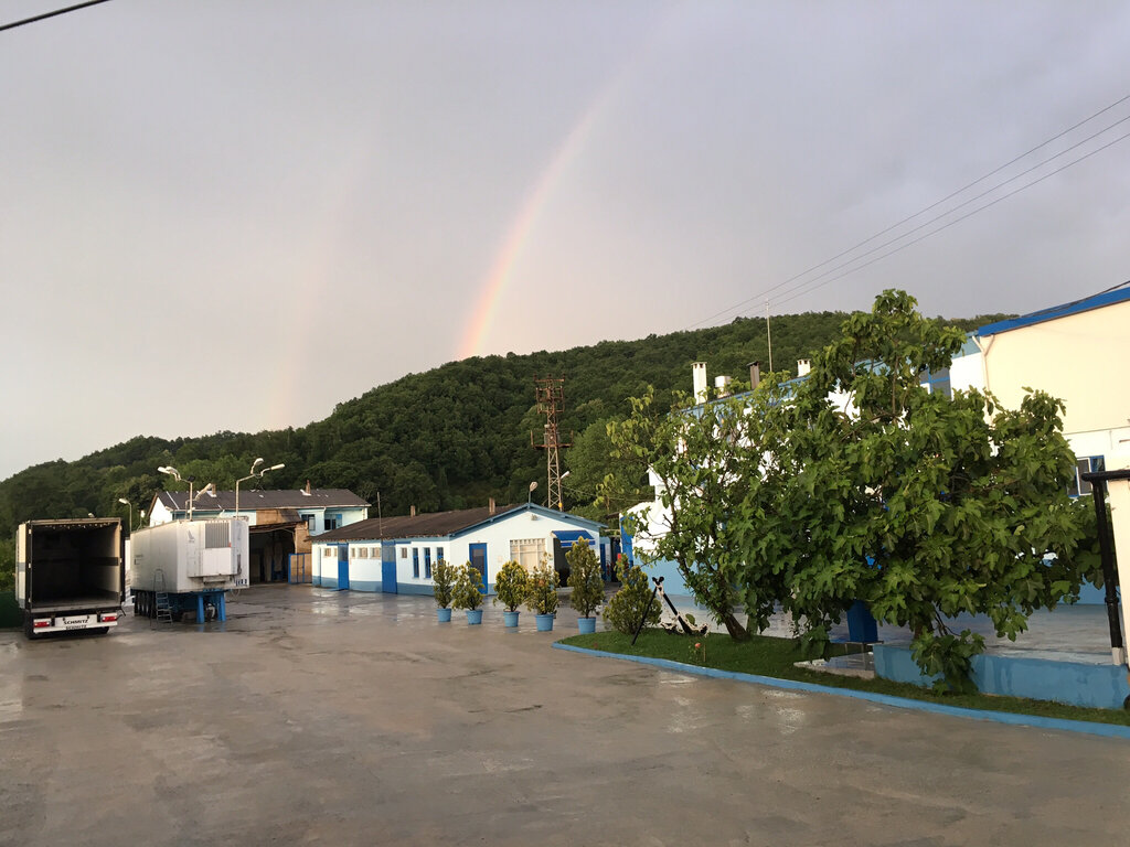 Dondurulmuş gıda firmaları Varollar Gıda, Şile, foto