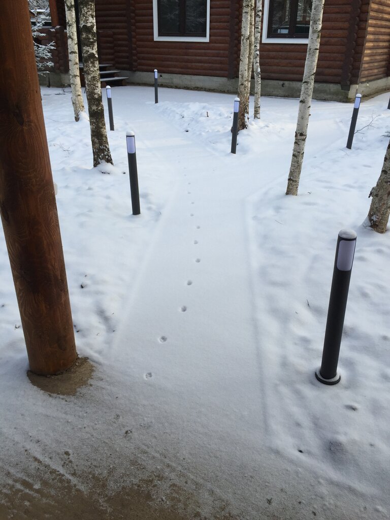 Resort oteller, tesisler Дача Сайкина, Moskova ve Moskovskaya oblastı, foto