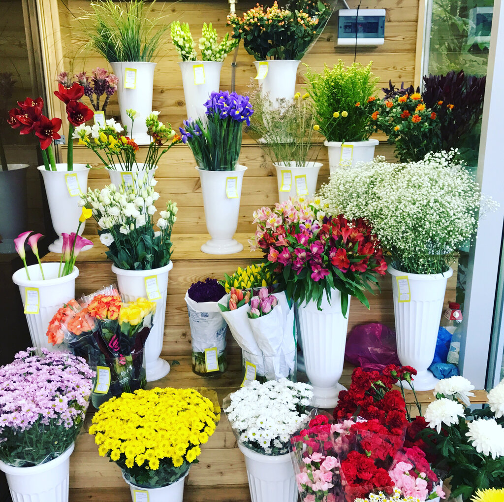 Çiçekçiler Azbuka Cvetov, Moskova, foto