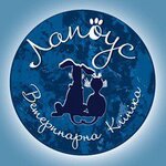 Vet. Lapous (Pavla Tychyny Avenue No:16/2), petshop  Kiev'den
