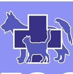 Veterinarnaya klinika ZOODoctor (ulitsa Zavertyayeva No:13к1), veteriner klinikleri  Omsk'tan