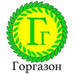 Gorgazon (Pyatnitsky Lane No:2), şehir planlama  Moskova'dan