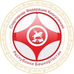 Sportivnaya federatsiya kiokusinkay Rb (bulvar Khadii Davletshinoy No:18/1), spor kurumları  Ufa'dan