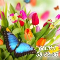 Kuaförler Parikmakherskaya Vesna, Vologda, foto