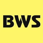 BeeWebStudio (Michurina Street No:31), yazılım firmaları  Belgorod'dan