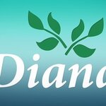Diana Tekstil (Timiryazeva Street No:1), örme üretimi  İvanovo'dan