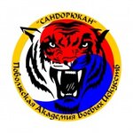 Поволжская академия боевых искусств (Voroshilova Street No:32Б), spor okulları  Tolyatti'den (Togliatti'den)