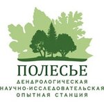 Dendrologicheskaya nauchno-issledovatelskaya opytnaya stantsiya Polesye (Vladimir Region, Sudogodskiy rayon, munitsipalnoye obrazovaniye Golovinskoye), bilim araştırma enstitüsü  Vladimirskaya oblastından