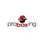 Pro Boksing (Kolodezny Lane No:3с4), fitness ve spor ekipmanı firmaları  Moskova'dan