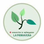 LaPrimavera (Profsoyuznaya Street No:56), kuru temizlemeciler  Moskova'dan