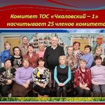 Ktos Chkalovsky-1 (Kosmicheskiy prospekt No:89), sivil toplum kuruluşları  Omsk'tan