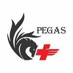 Meditsinsky tsentr Pegas (No:3, Zelenyi mikroraion, Makiyivka), tıbbi rehabilitasyon merkezleri  Makeevka'dan