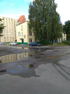 Spor barları Chempi, Lida, foto