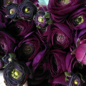 Çiçekçiler Planeta tsvetov, Volgograd, foto