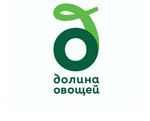 ТД Долина овощей (Montazhnikov street No:16, Chelyabinsk), toptan sebze ve meyve satışı  Çeliabinsk'ten