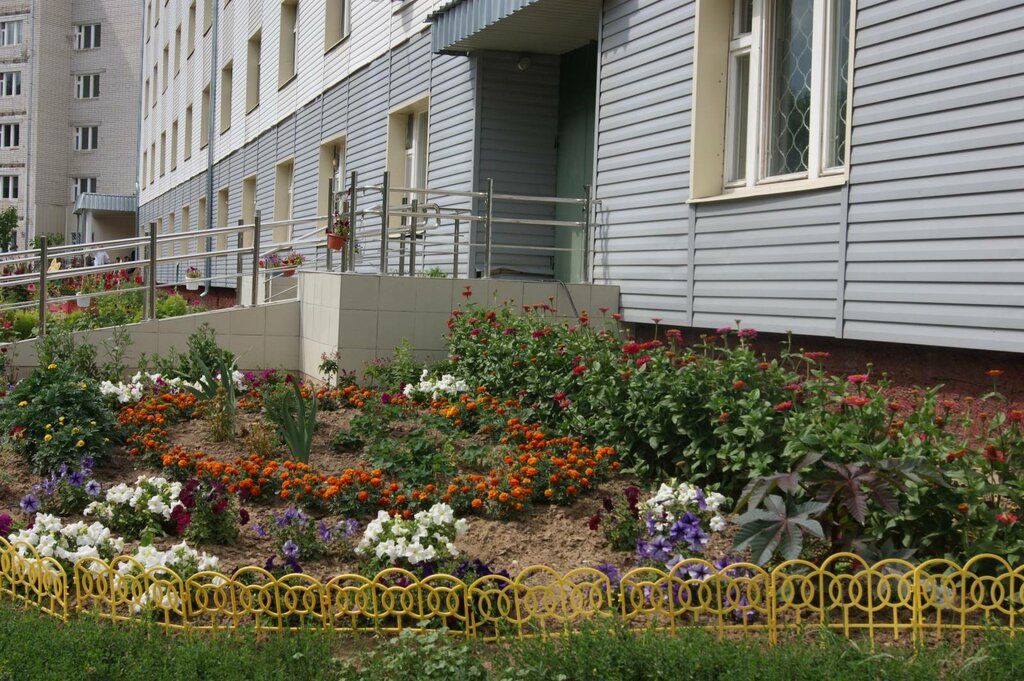 Ruh ve sinir hastalıkları hastaneleri Zelenodolsky Psikhonevrologichesky internat, Zelenodolsk (Yeşel Üzen), foto