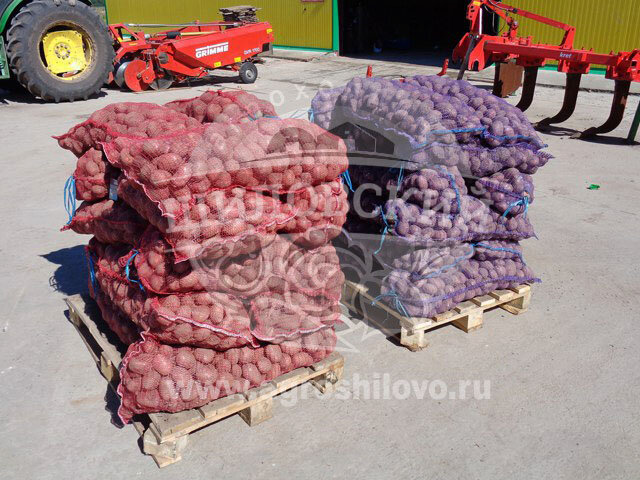 Tarım firmaları Agrokholding Shilovsky, Riazanskaya oblastı, foto