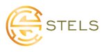Stels-1 (Kashirskoye Highway No:48к1), muhasebeciler  Moskova'dan