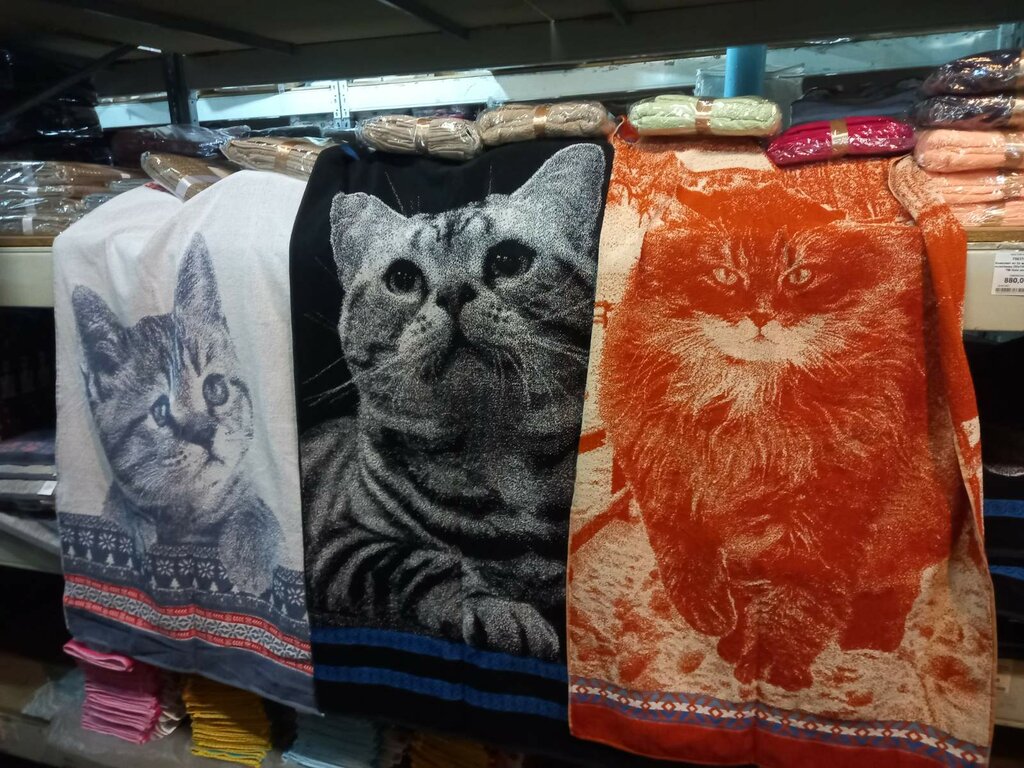 Kumaşçılar - Chita, Çita, foto