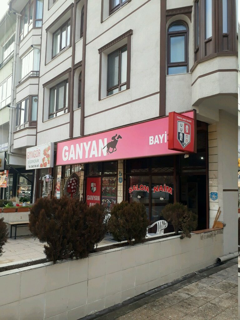 Şans oyunu bayileri Ganyan Bayii 313, Ankara, foto