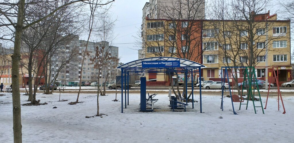 Spor alanı Уличные тренажеры, Vladimir, foto