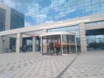 Ankara Büyükşehir Belediyesi, Destek Hizmetleri Dairesi Başkanlığı (Ankara, Hipodrom Cad., No:5), devlet kurumları ve bakanlıklar  Ankara'dan