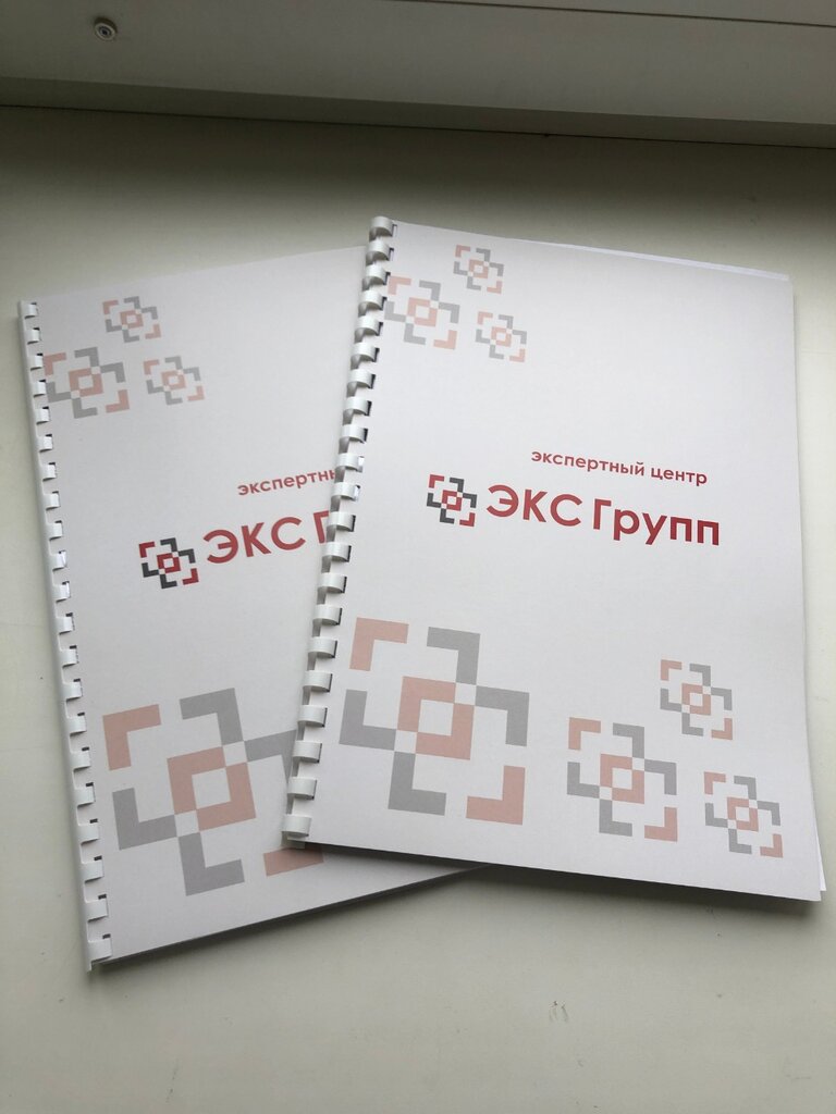 Ekspertiz hizmetleri LLC Eks - Groupp, Petuşki, foto